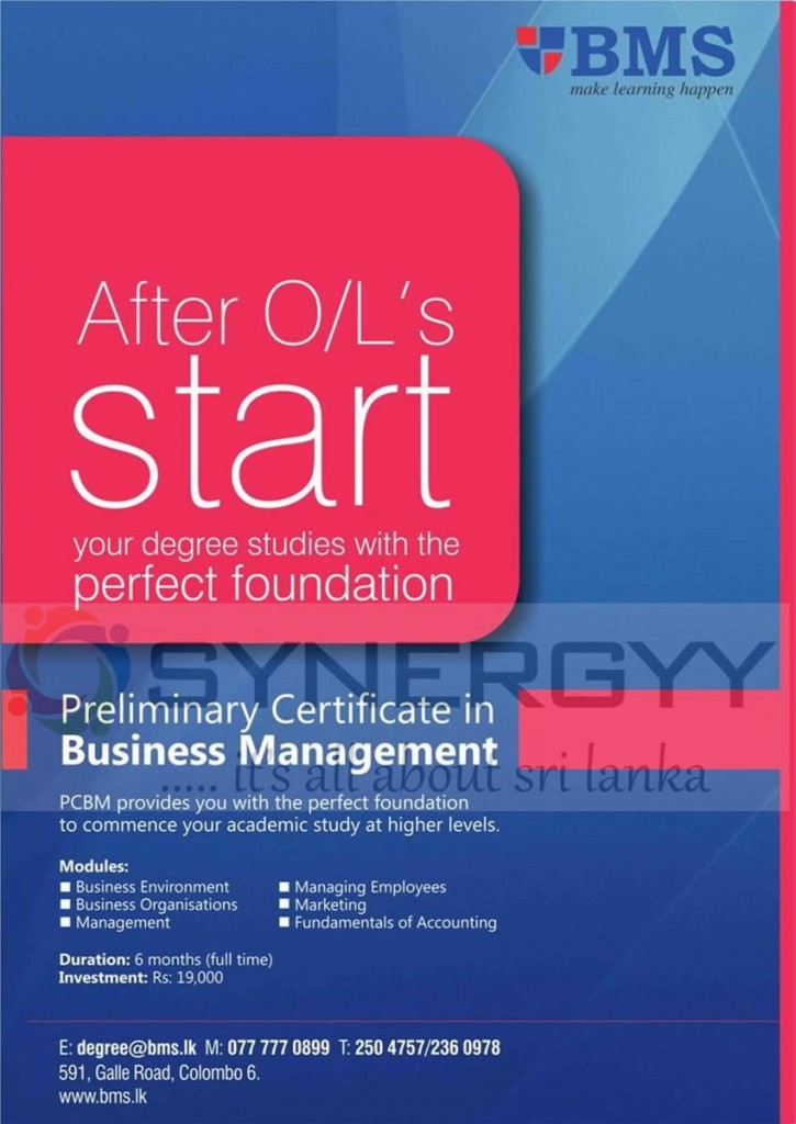 BMS Degree Programme Just After O Ls SynergyY
