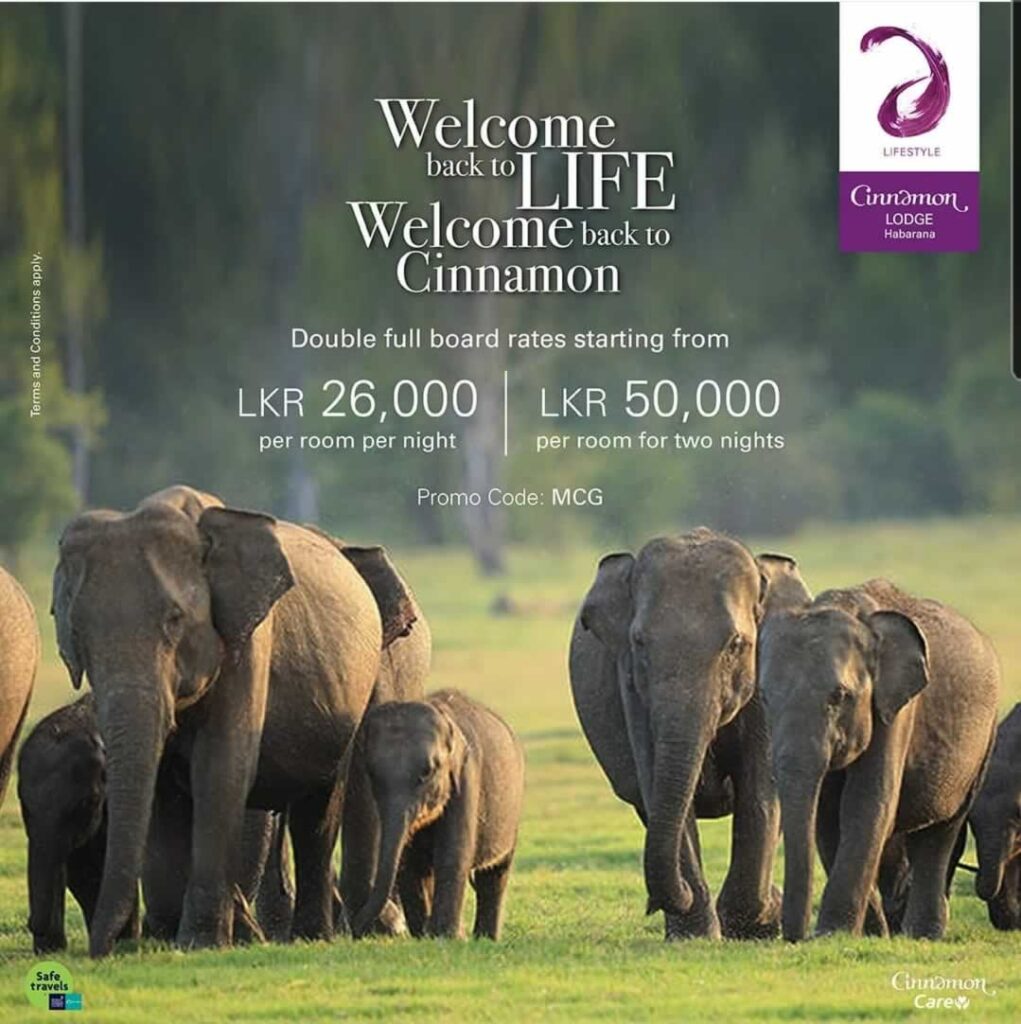 Cinnamon Lodge Habarana Promo Code Valid Till 31st March 2022 SynergyY Cinnamon Lodge Habarana Promo Code Valid Till 31st March 2022 SynergyY